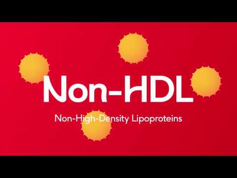 Understanding Cholesterol Youtube
