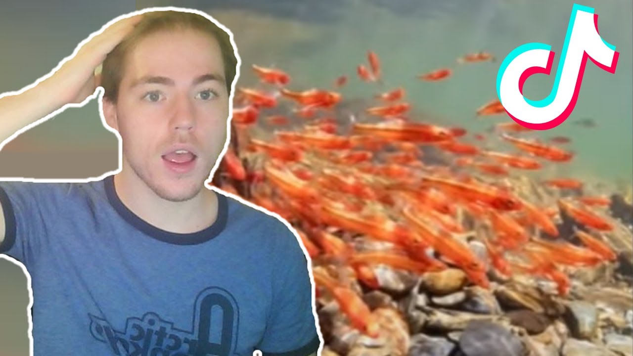 Tiktok Fish Challenge At Roy Bush Blog