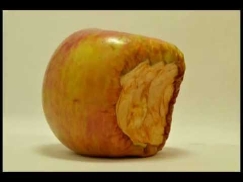 Decaying Apple Time Lapse Youtube
