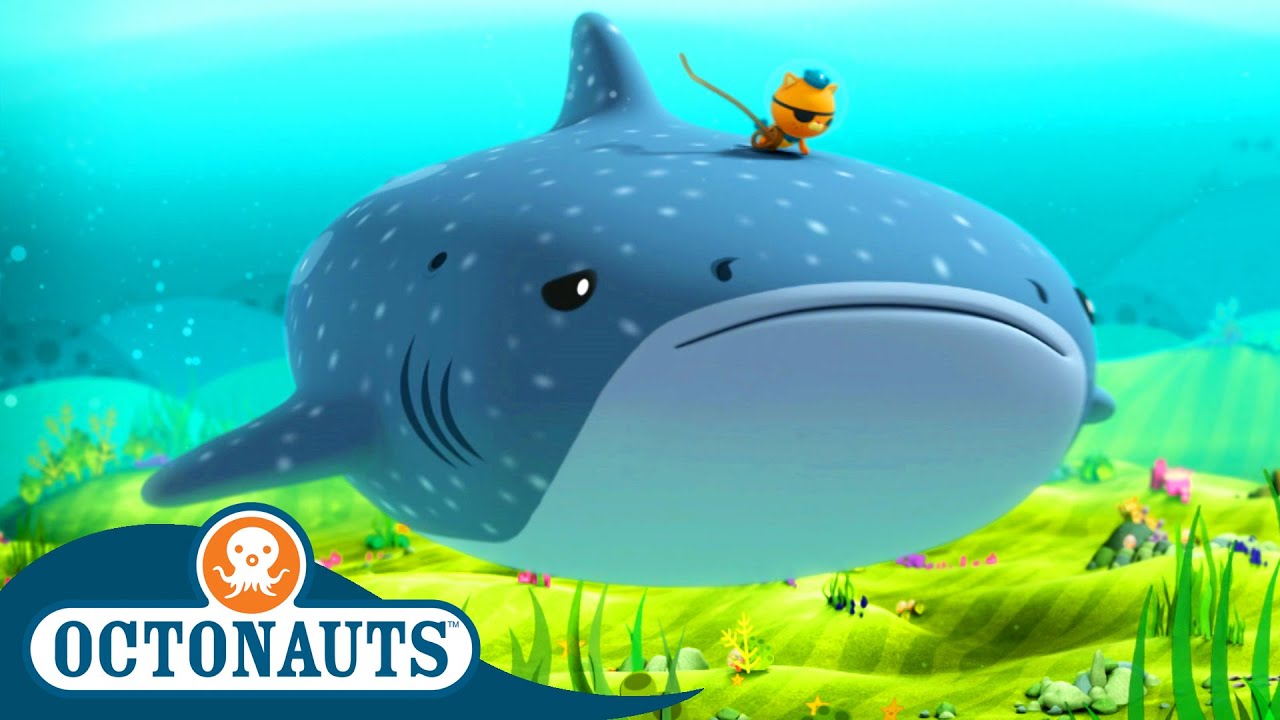Octonauts The Whale Shark ёярлёяжи Season 1 Full Episodes Cartoons
