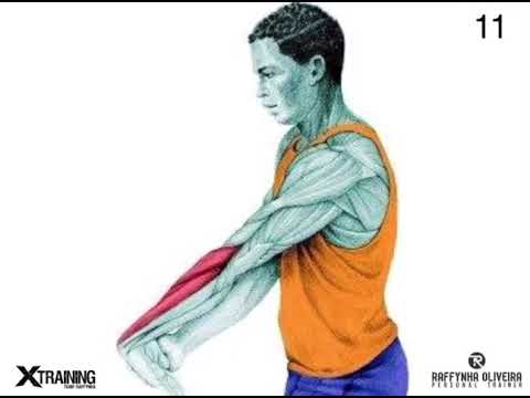 11 Forearm Extensor Stretch Forearm Extensor Youtube
