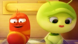 Larva A New Friend Cartoons For Children Larva Official Videos