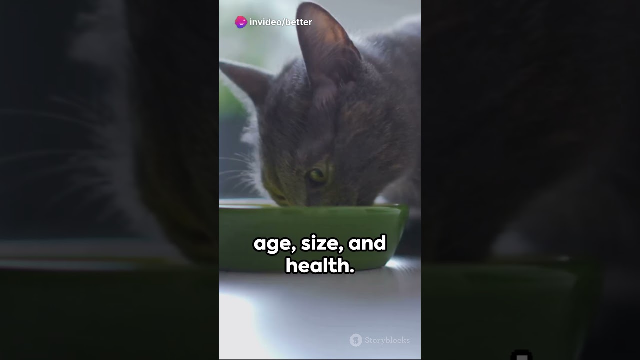 Pet Care 101 Essential Tips Housepetscare