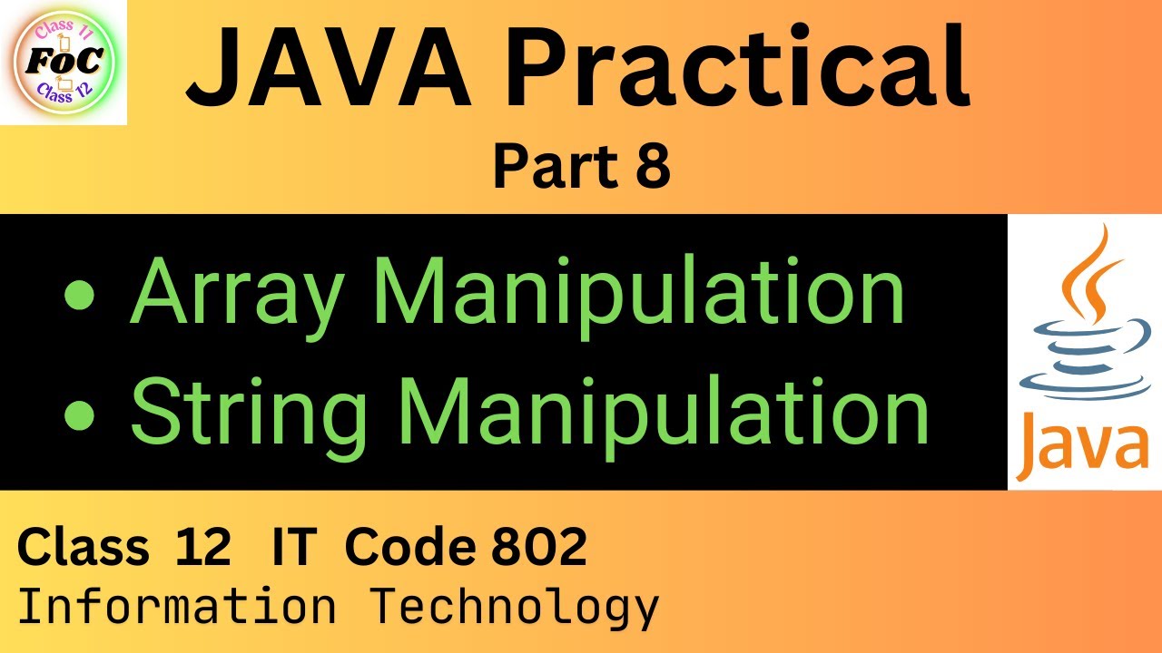 Array String Manipulation Java Practical Class 12 Information