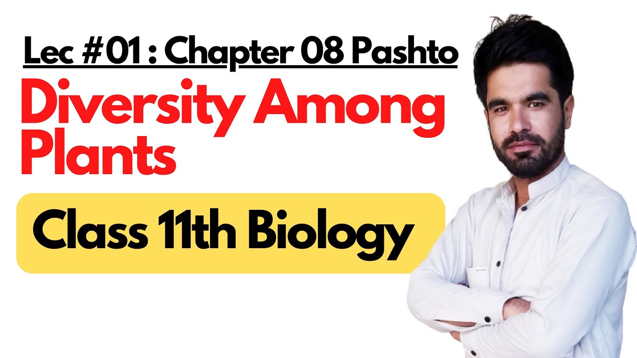 Diversity Among Plants Class 11th Biology Chapter 08 Lecture