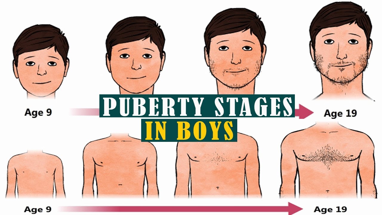Stages Of Puberty In Boys How Your Son Develops Into A 57 Off