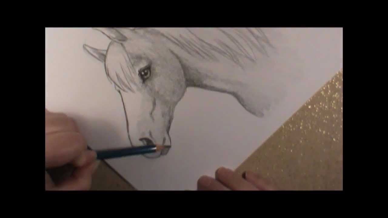 How To Draw A Horse Head Youtube