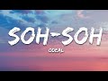 Soh Soh Odeal Mp3 Music & Mp4 video downloads