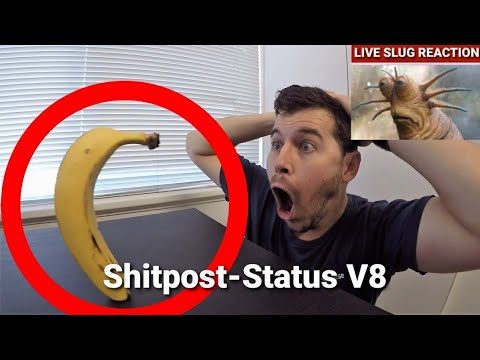 Shitpost Status Compilation V8 Youtube