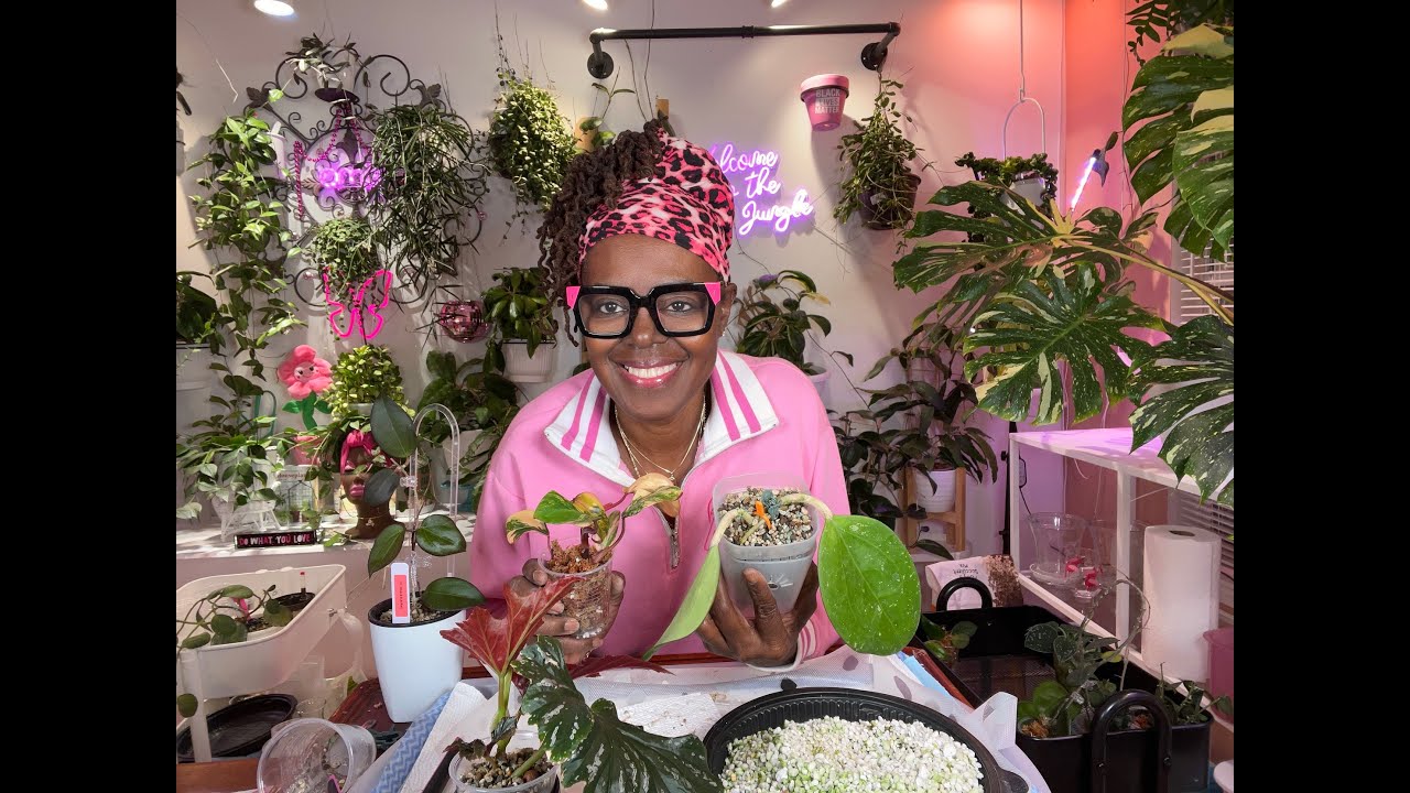 2024 Recap Video Youtube