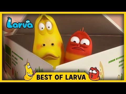 Larva Hiccup Cartoon Movie Cartoons For Children Larva Cartoon