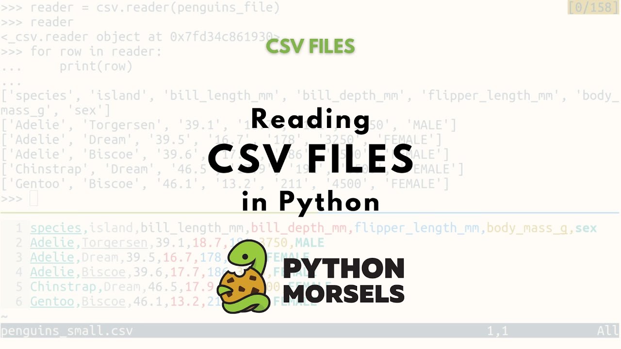 Reading A Csv File In Python Youtube