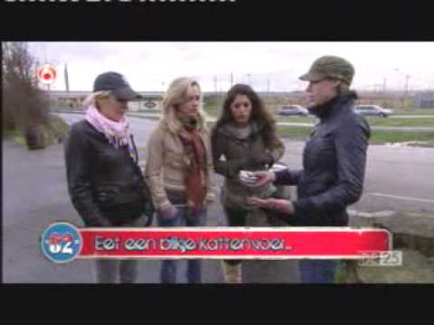 Jennifer Hoffman Youtube