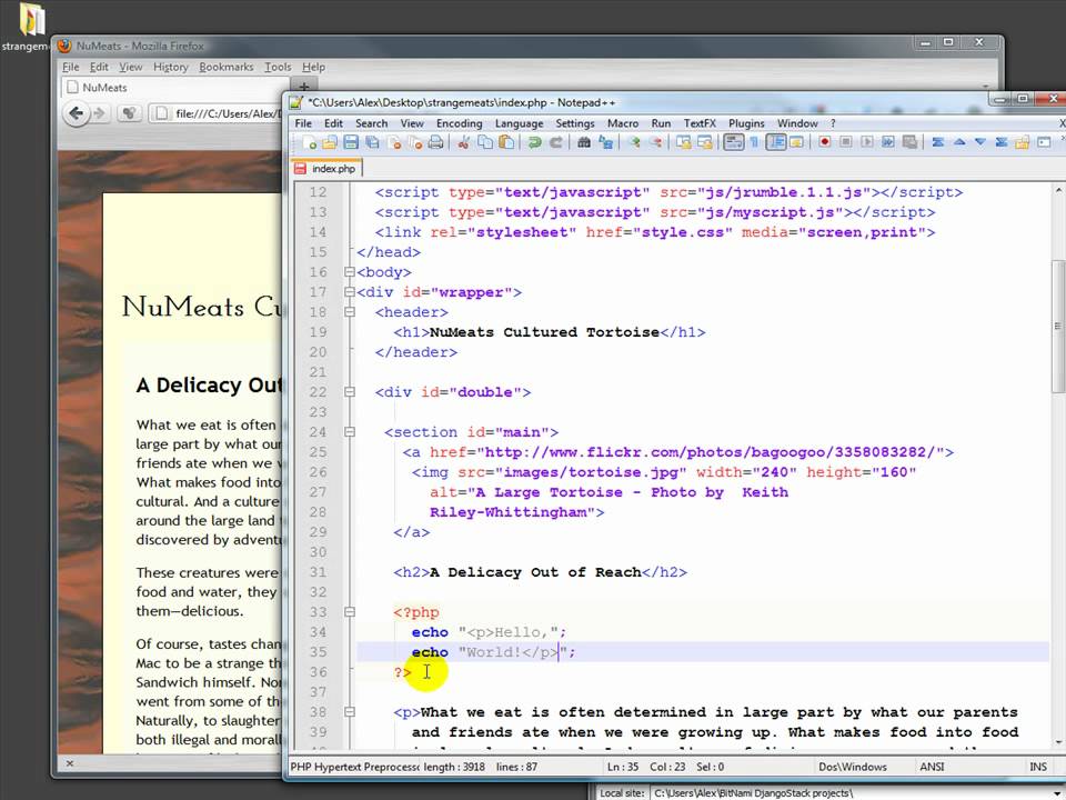 Php Hello World Youtube