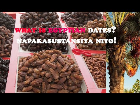 What Is A Date Do You Have A Date This Valentine Youtube