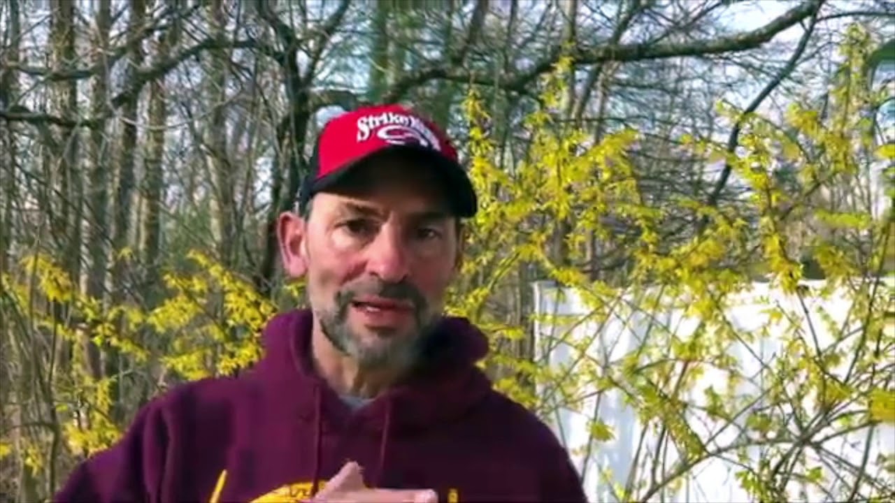 Backyard Enrichment 11 Youtube
