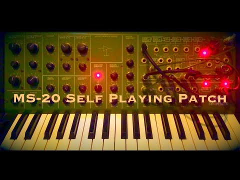 Korg Ms 20 Aug 30 25 Self Playing Patch Youtube