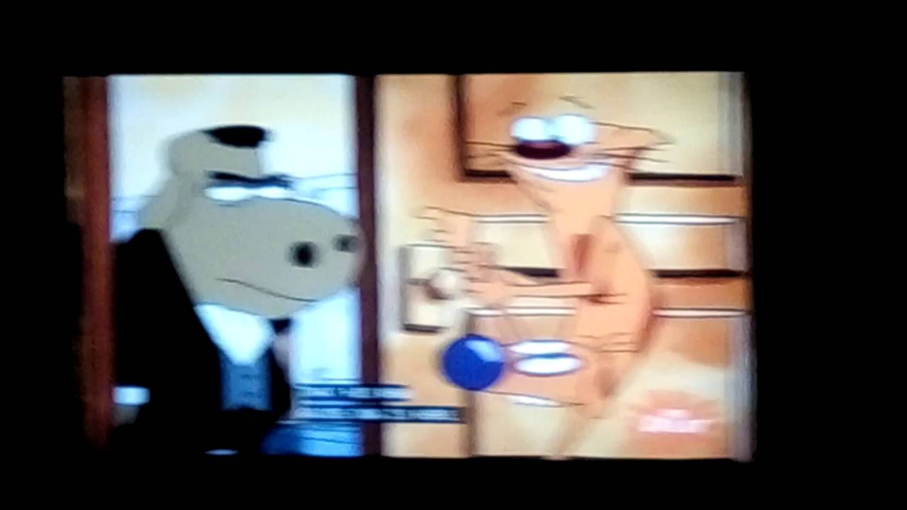 Catdog Youtube