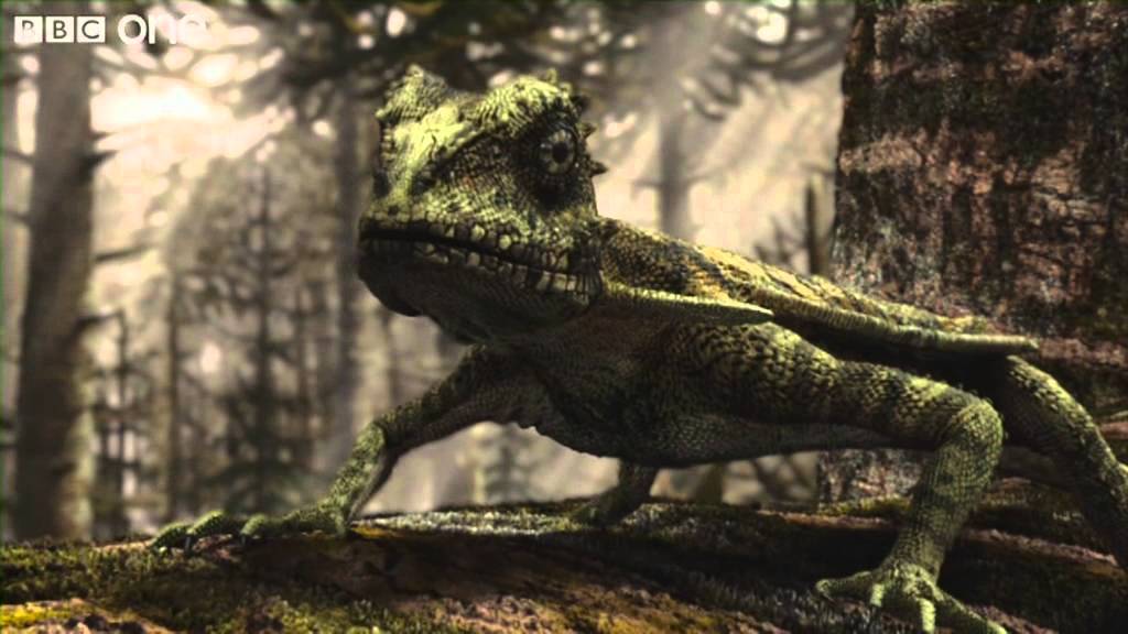 Flying Microraptor Planet Dinosaur Episode 2 Bbc One Youtube