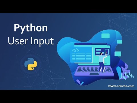 Taking User Input In Python Python Tutorial Day 7 Youtube