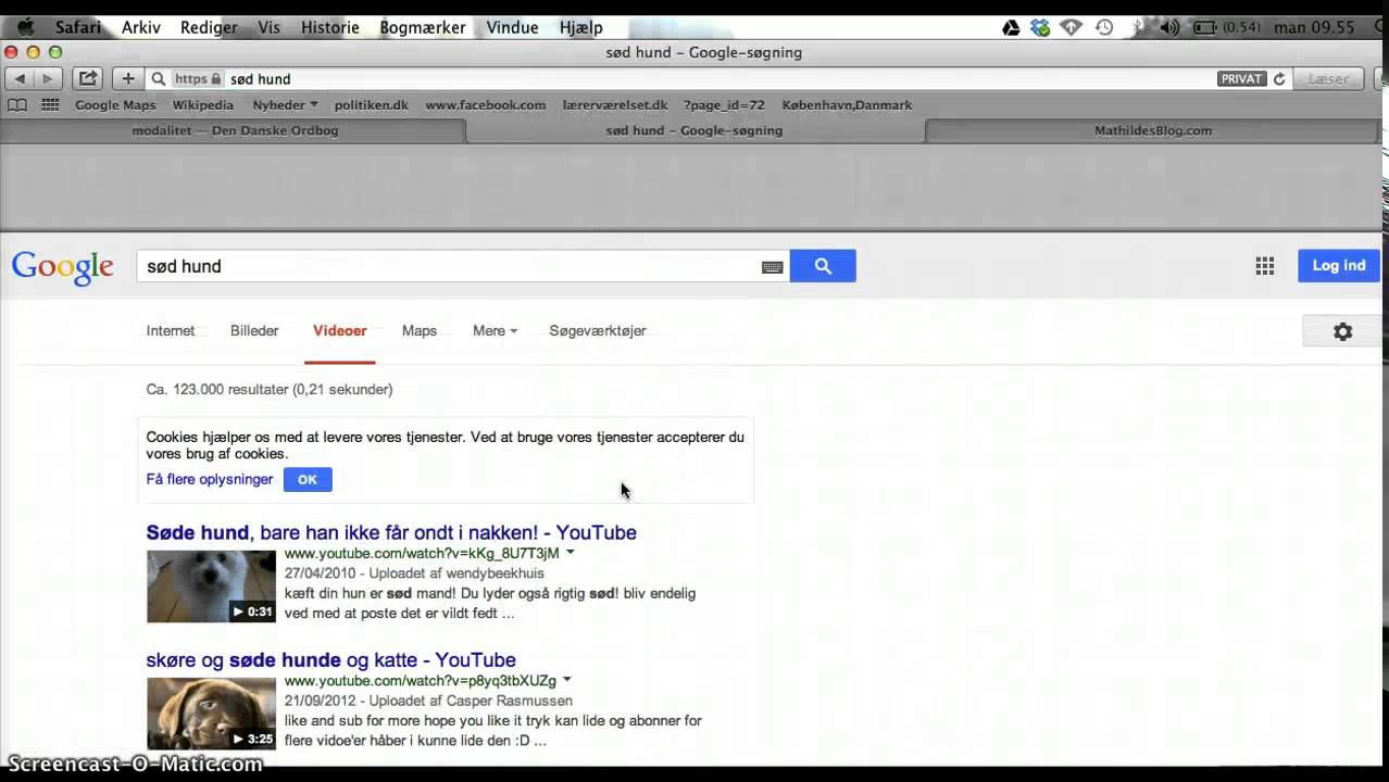 Multimodalitet Youtube