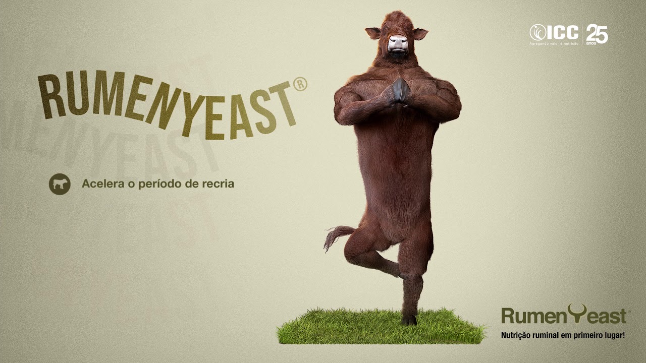 Rumenyeast Youtube