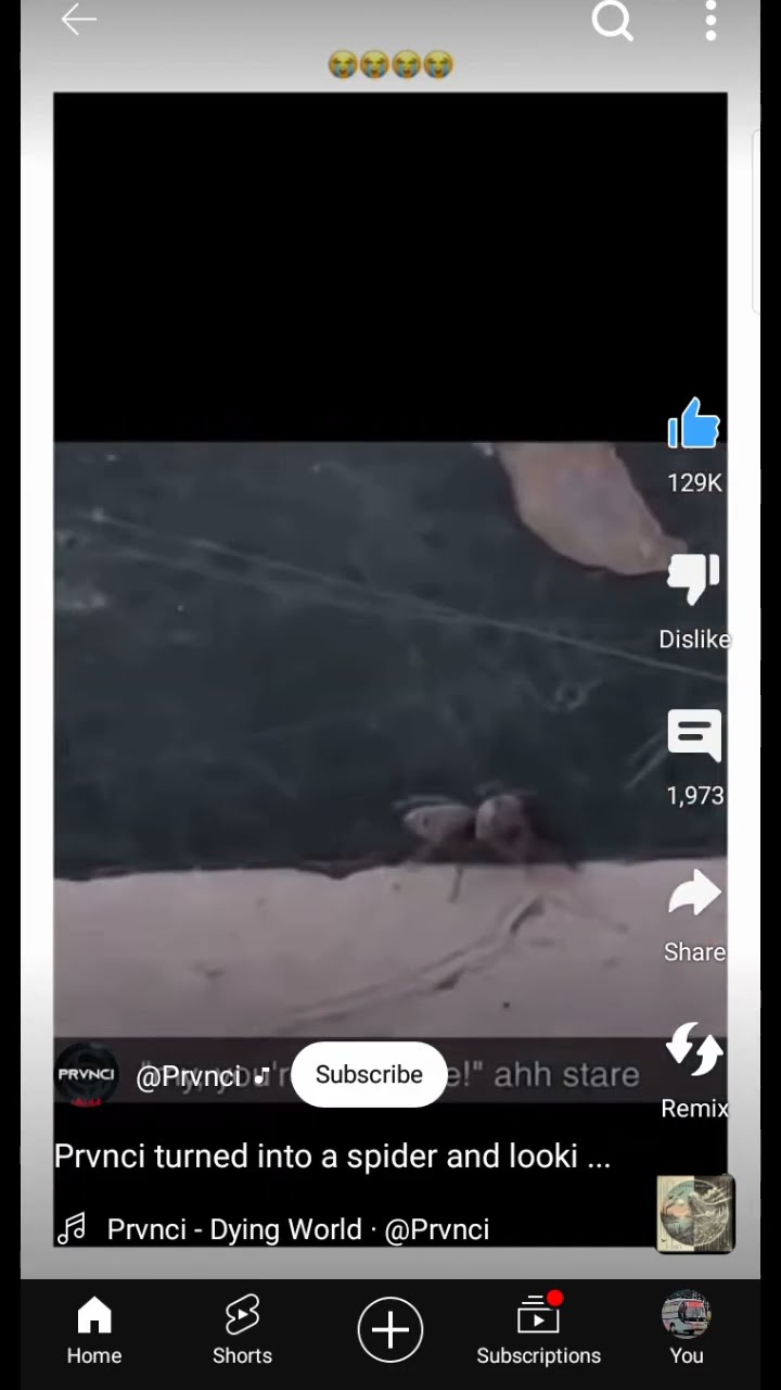 Spider Youtube