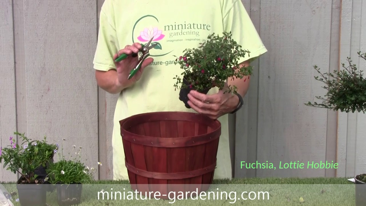 Pruning Tips Youtube