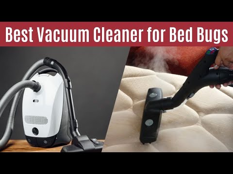 What Vacuums Are Good For Bedbugs