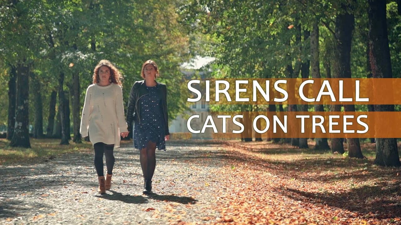 Sirens Call Cats On Trees Cover Lyrics Chords Youtube