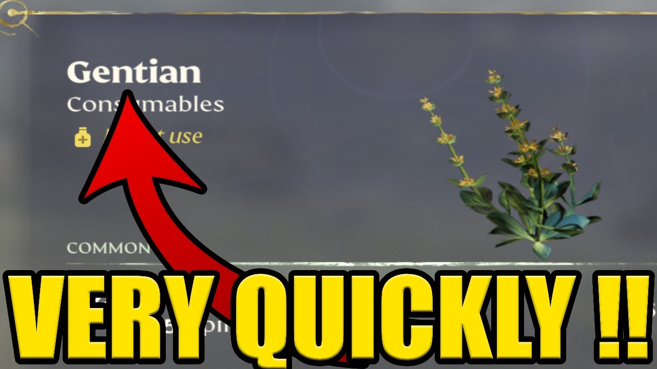 Enshrouded Gentian Location Youtube