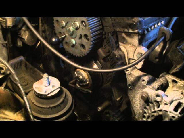 Vw Transporter T6 Timing Belt And Water Pump Replacement 41 Off