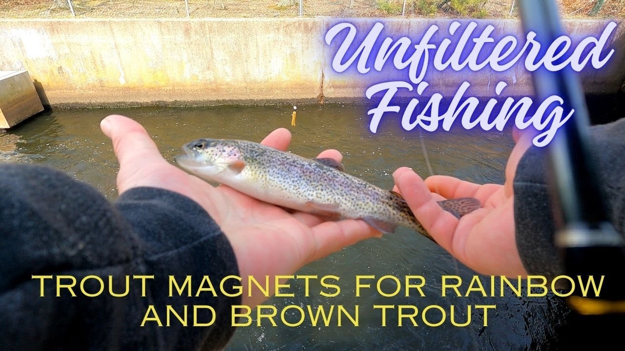 Fishing With Trout Magnets For Rainbow And Brown Trout Youtube