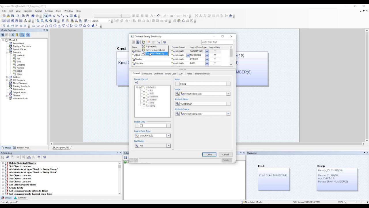 Erwin Data Modeler Polehit