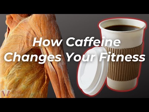 How Does Caffeine Increase Athletic Performance