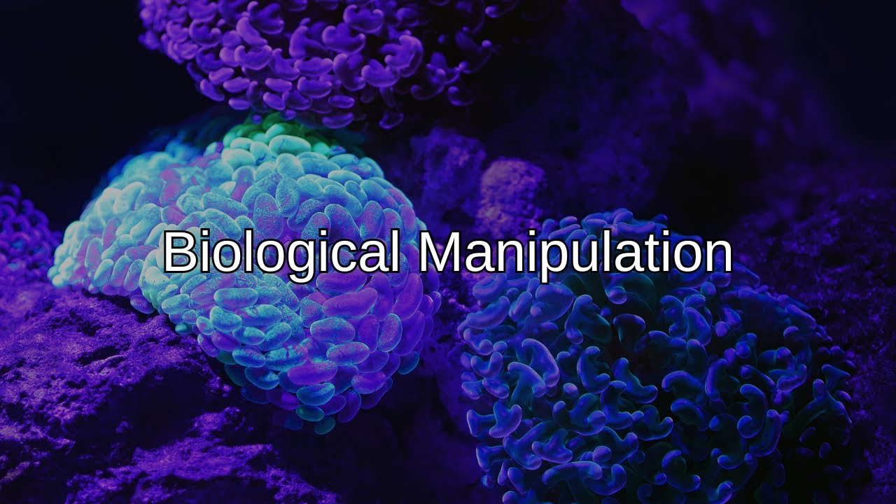 Biological Manipulation Subliminal Audio Youtube