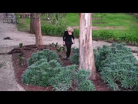 Trespassing Caught On Cctv Youtube