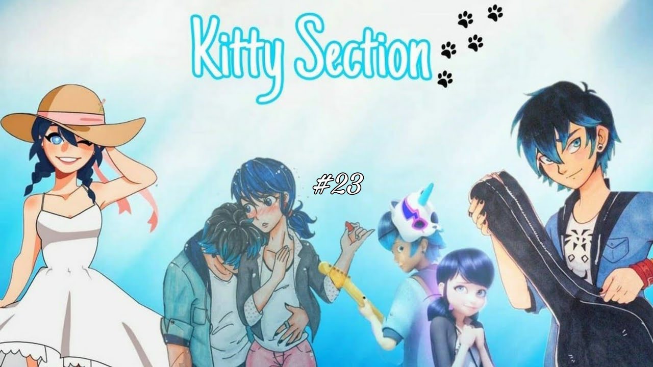 Kitty Section 23 Lukanette Miraculous Lovestory Youtube