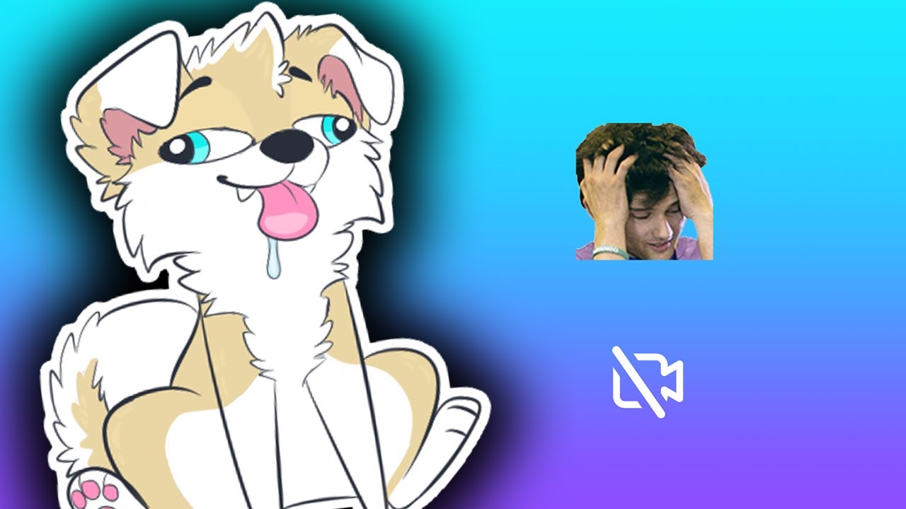 Smartest Dog Around Youtube