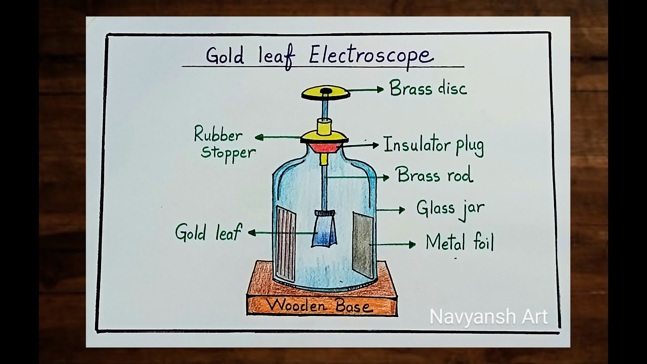 How To Draw Gold Leaf Electroscope