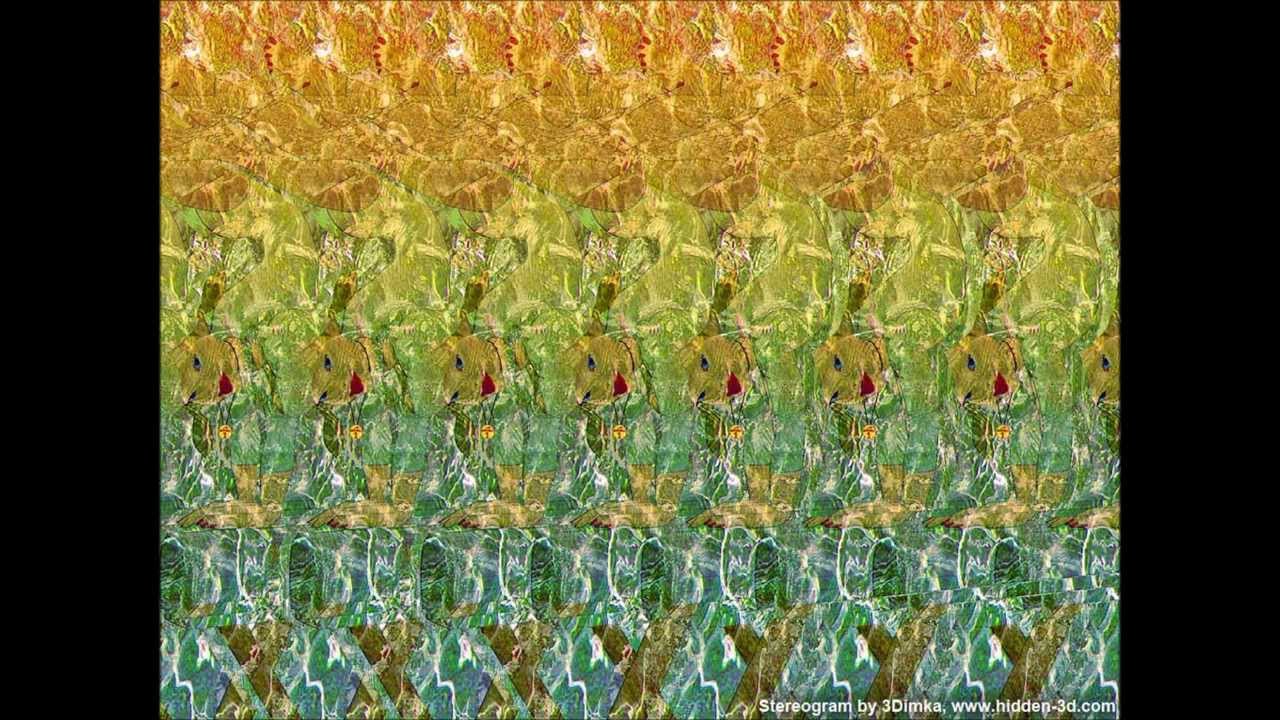 Amazing Optical Illusions And Magic Eye Pictures Youtube