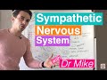 Autonomic Nervous System Sympathetic Parasympathetic Overview Dr Matt ...