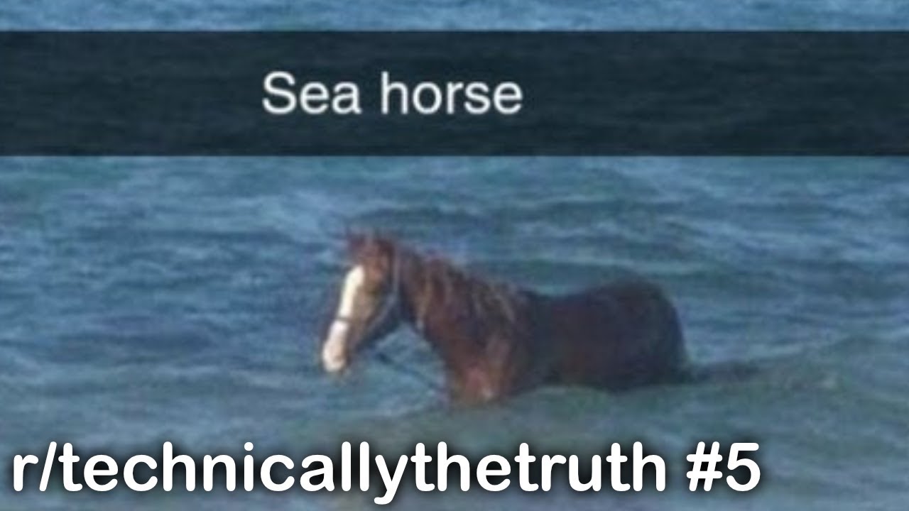 R Technicallythetruth Best Posts 5 Youtube