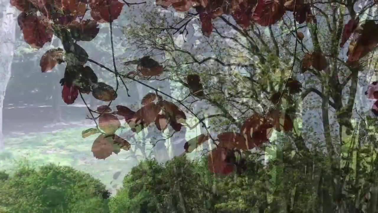 Dansk Dokumentar Youtube