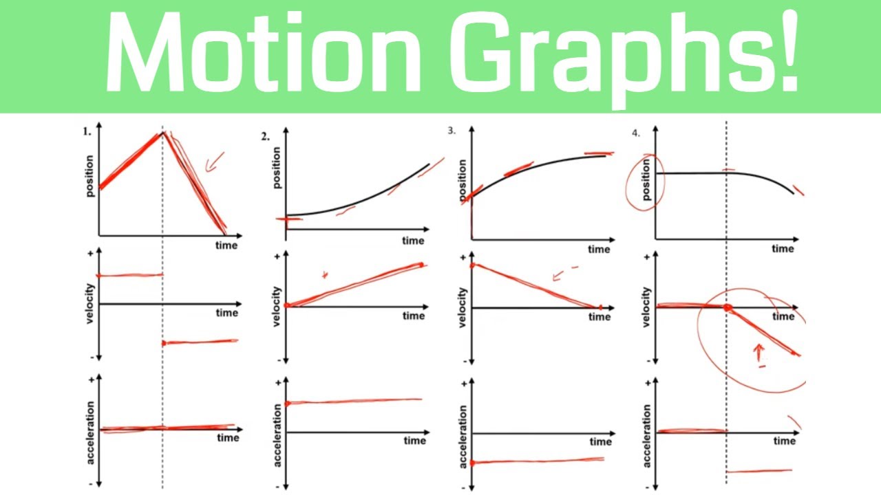 Velocity Time Graphs Physics The Velocity Time Graph Of A Body Is