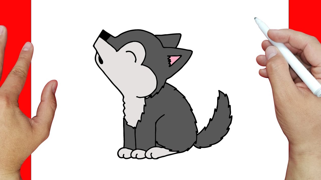 Como Dibujar Un Lobo Facil Para Niños Dibujos Fáciles Youtube