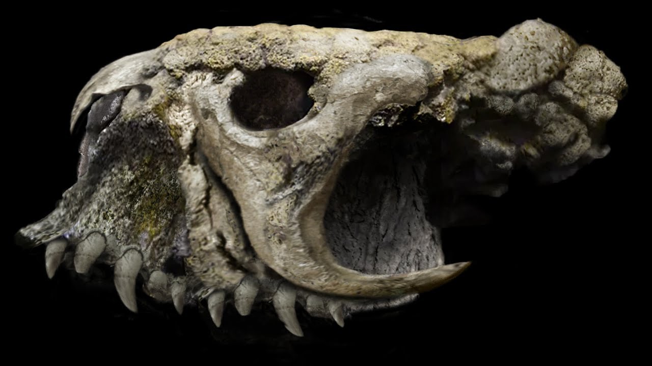 11 Archaeological Treasures Recently Discovered Simply Amazing Stuff