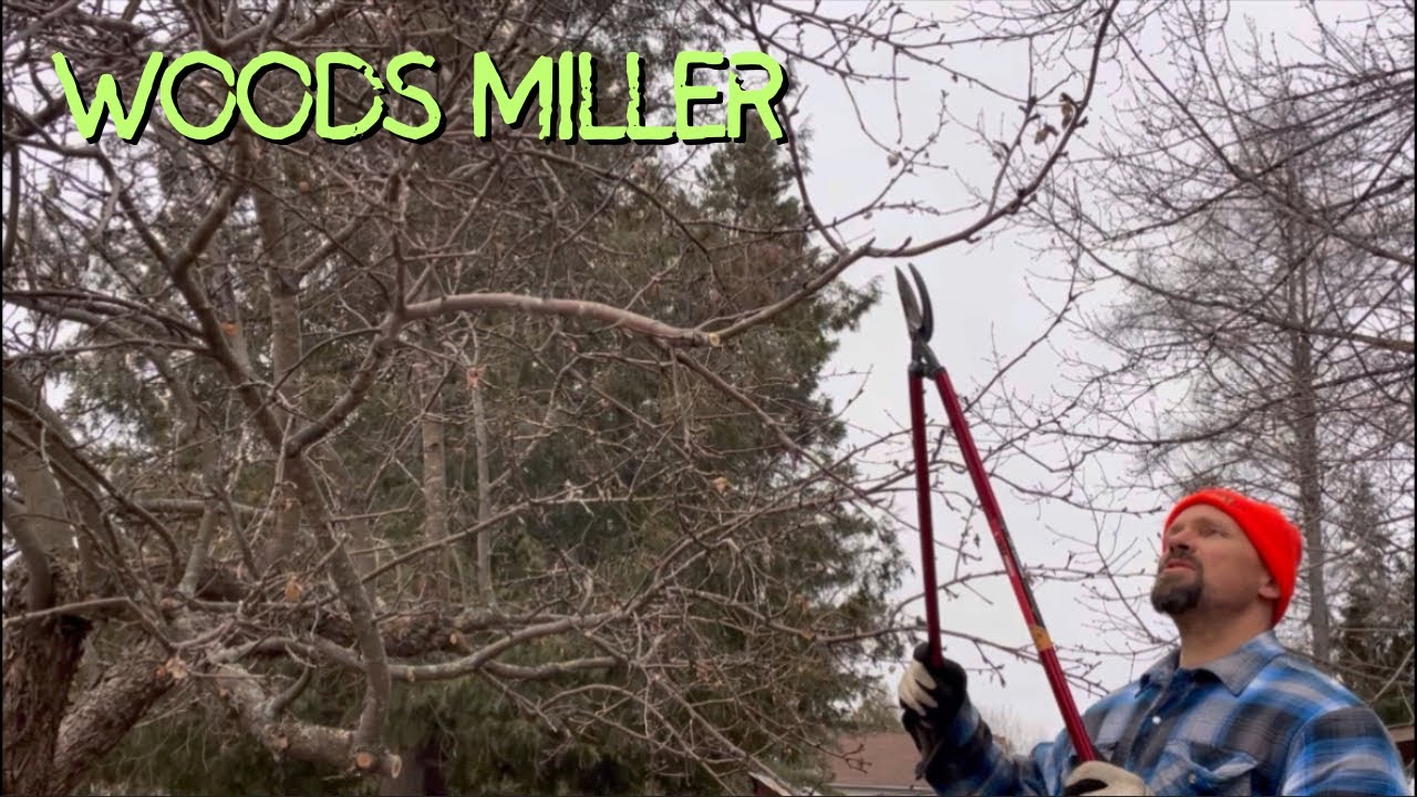 Pre Spring Fruit Tree Pruning Youtube