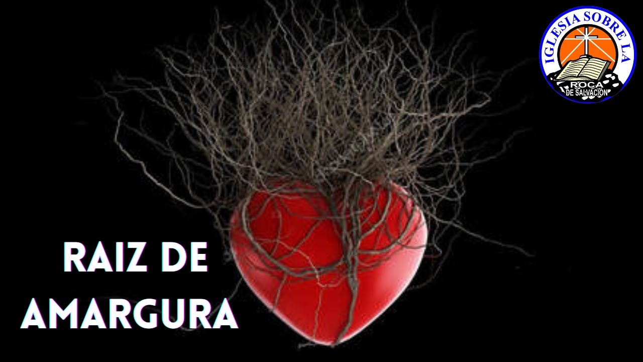Raiz De Amargura Estudio Bíblico De Celulas Familiares Youtube