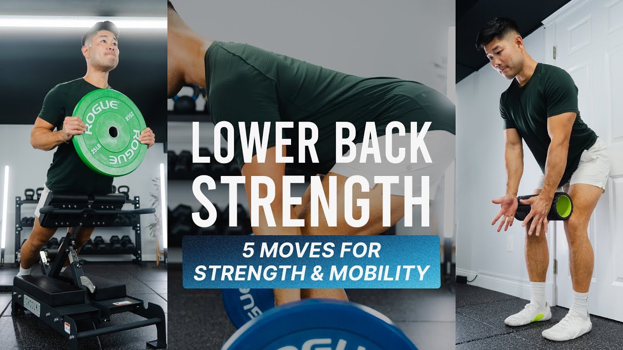 5 Exercises For A Strong And Mobile Lower Back Youtube